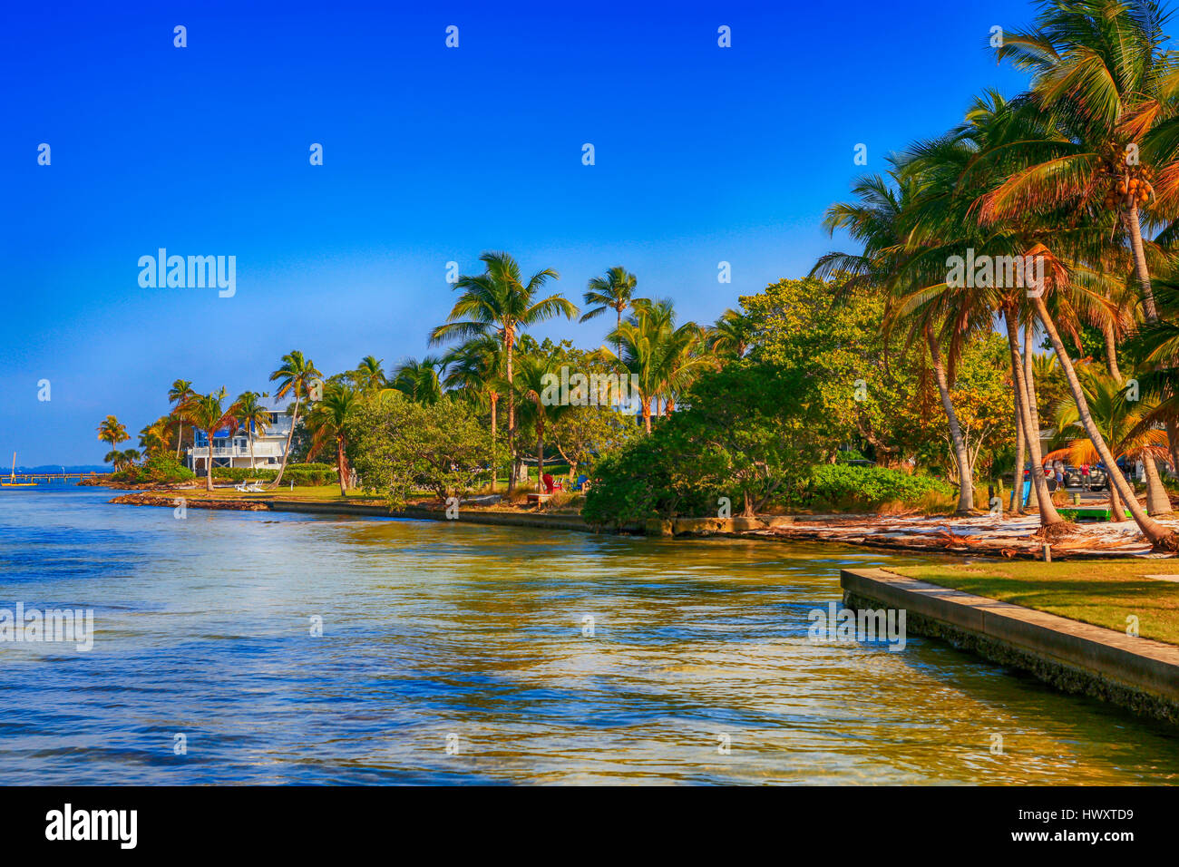 Southwest florida coastline hi-res stock photography and images - Alamy