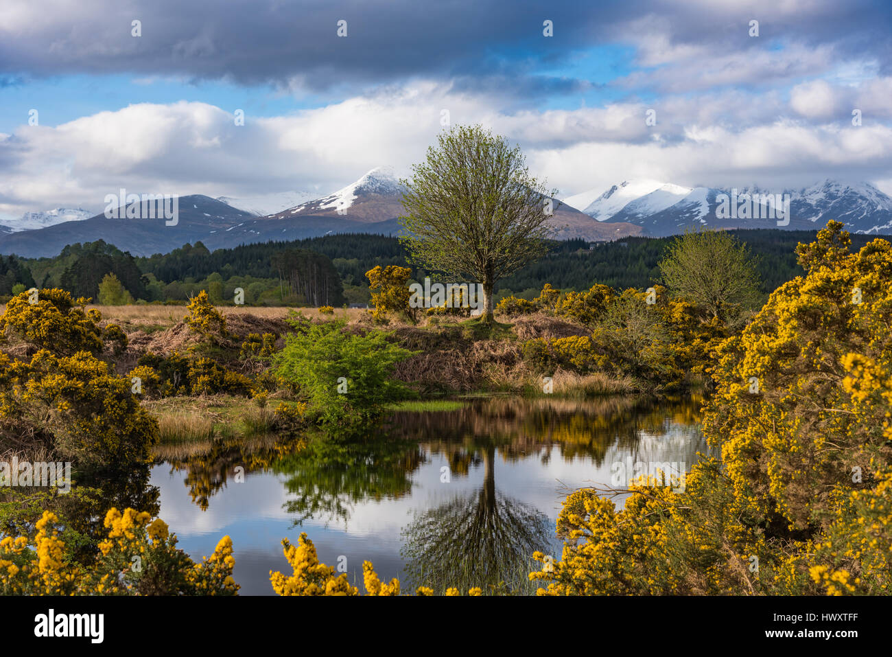 Ben Nevis range from Gairlochy, Highlands, Scotland Stock Photo - Alamy