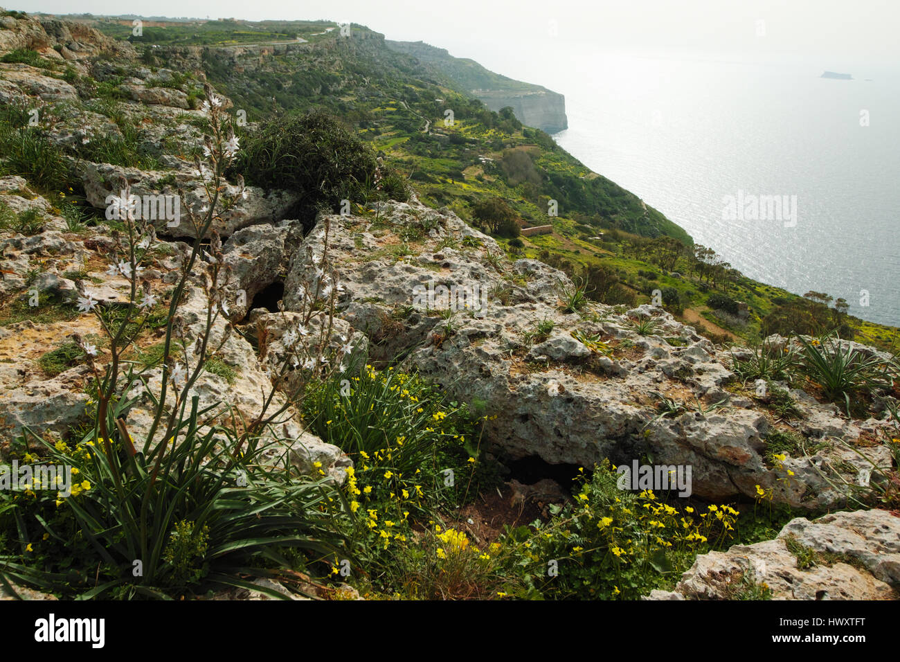 Great Dingli cliffs in Malta Stock Photo - Alamy