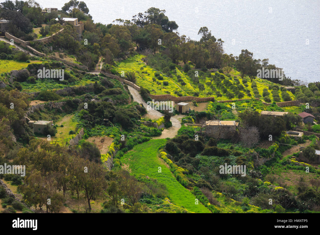 Great Dingli cliffs in Malta Stock Photo - Alamy