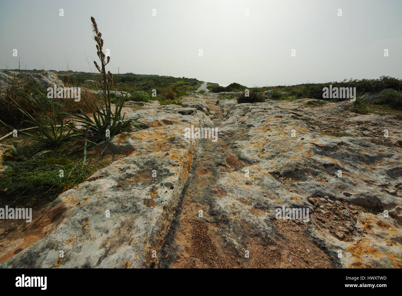 These rock hewn lines in Malta are a mystery similar to the Nazca lines ...