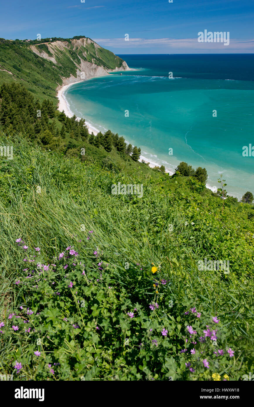The bay of Portonovo in the Conero Riviera, Italy Stock Photo - Alamy