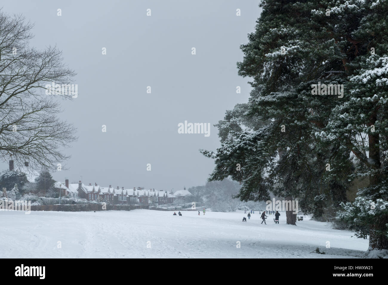 People at play in the snow at Petersfield Heath, Petersfield, Hampshire ...