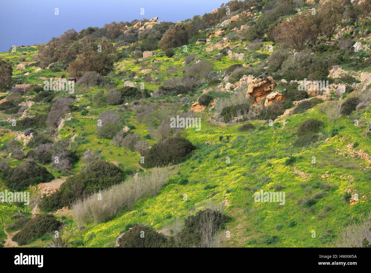 Great Dingli cliffs in Malta Stock Photo - Alamy
