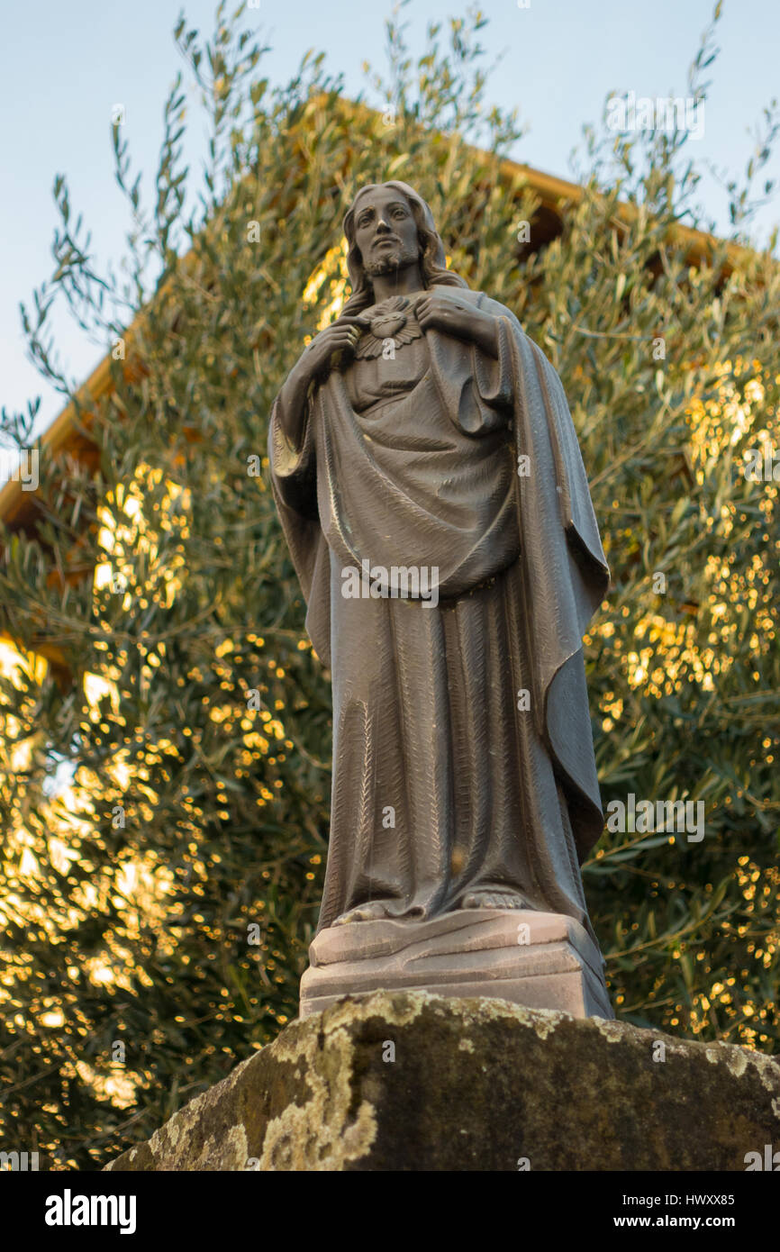 Jesus Christ statue with olive tree in the background Stock Photo - Alamy