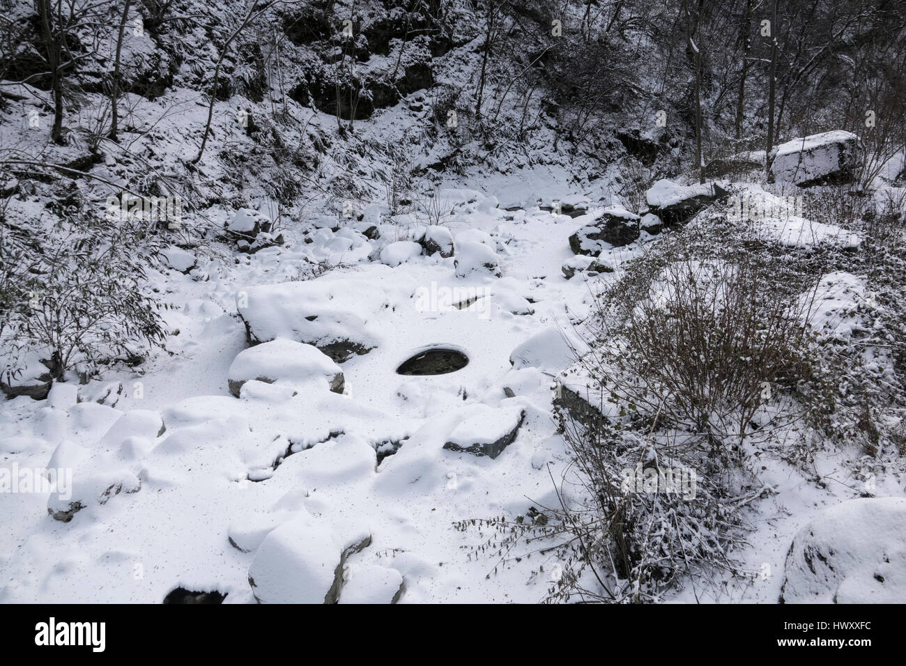 Vegetation in winter hi-res stock photography and images - Alamy