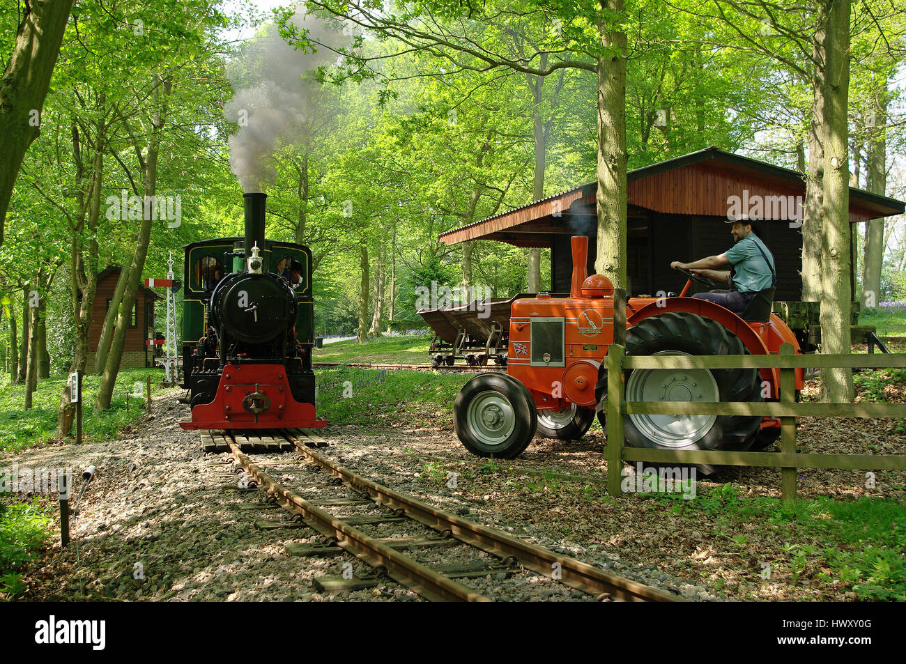 'narrow gauge locomotive' hi-res stock photography and images - Alamy