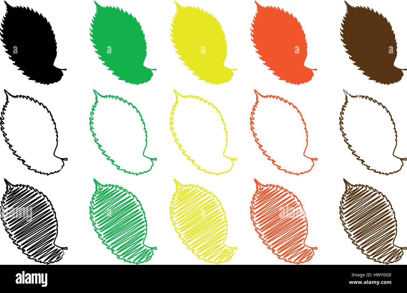 elm leaf - color set, elm leaf Stock Vector Image & Art - Alamy