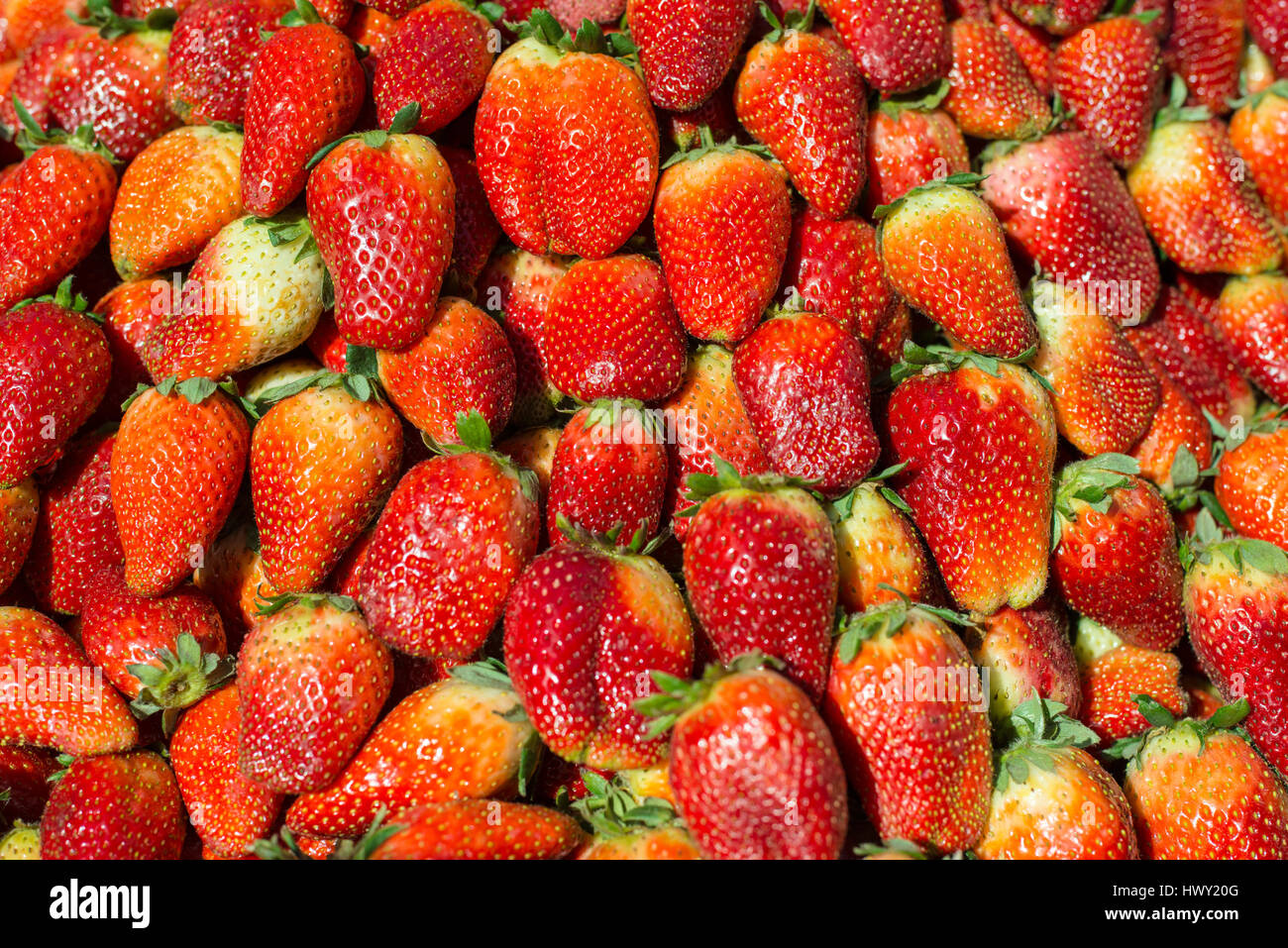 Strawberry close-up photo at the street market in Jerusalem, Israel ...