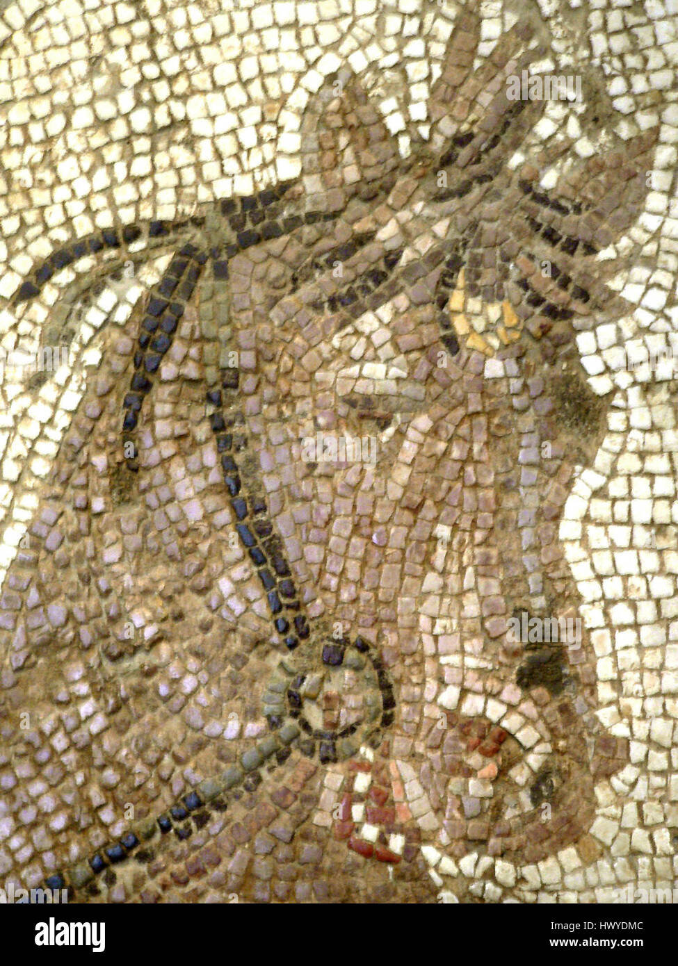 Amazonomachie refers to the mythological battle between the Greeks and ...