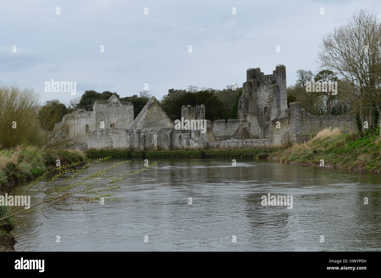 Desmond castle ruins and river Maigue running by it in Ireland Stock ...