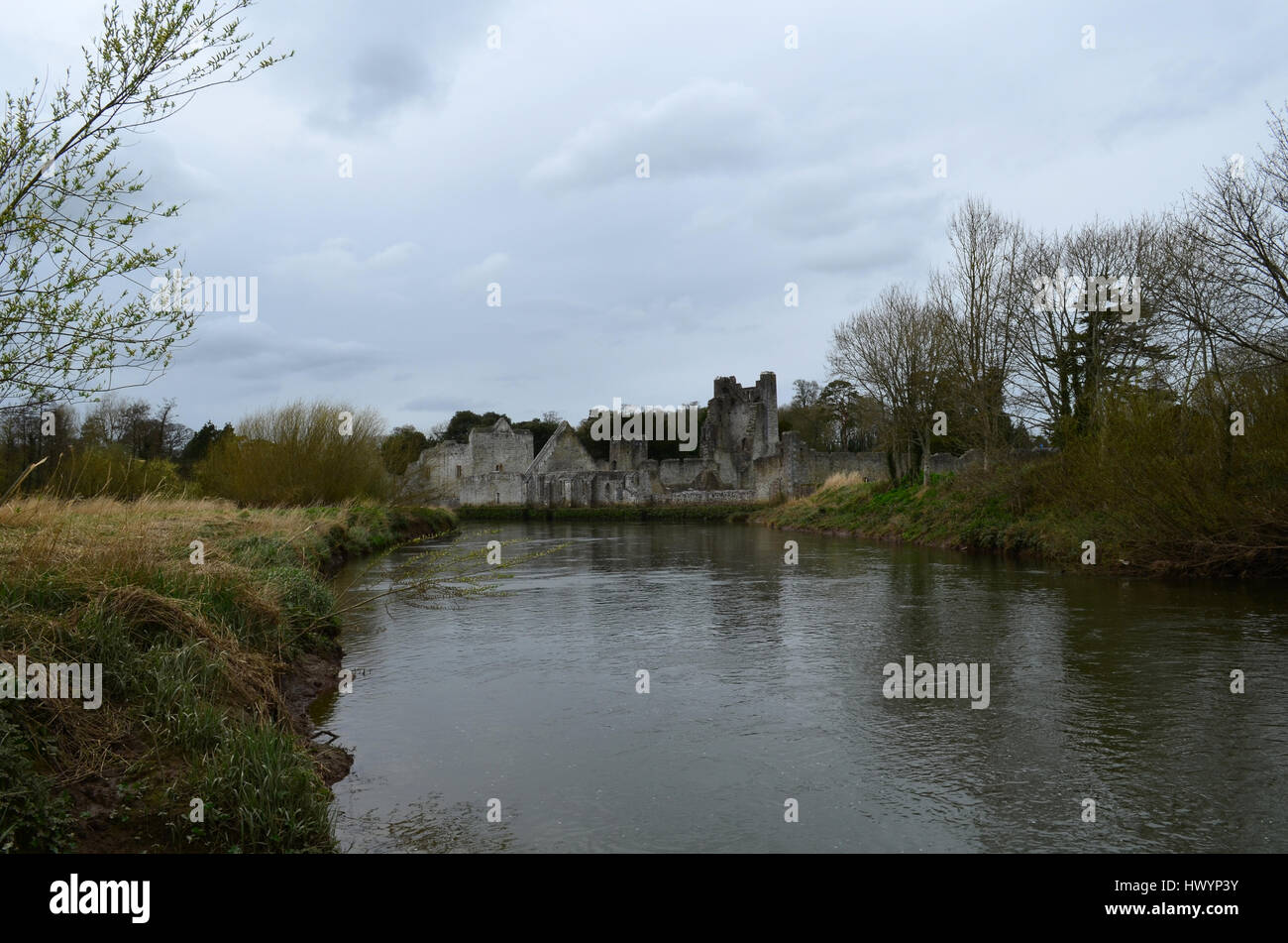 Ruins of Desmond Castle with the River Maigue running by Stock Photo ...