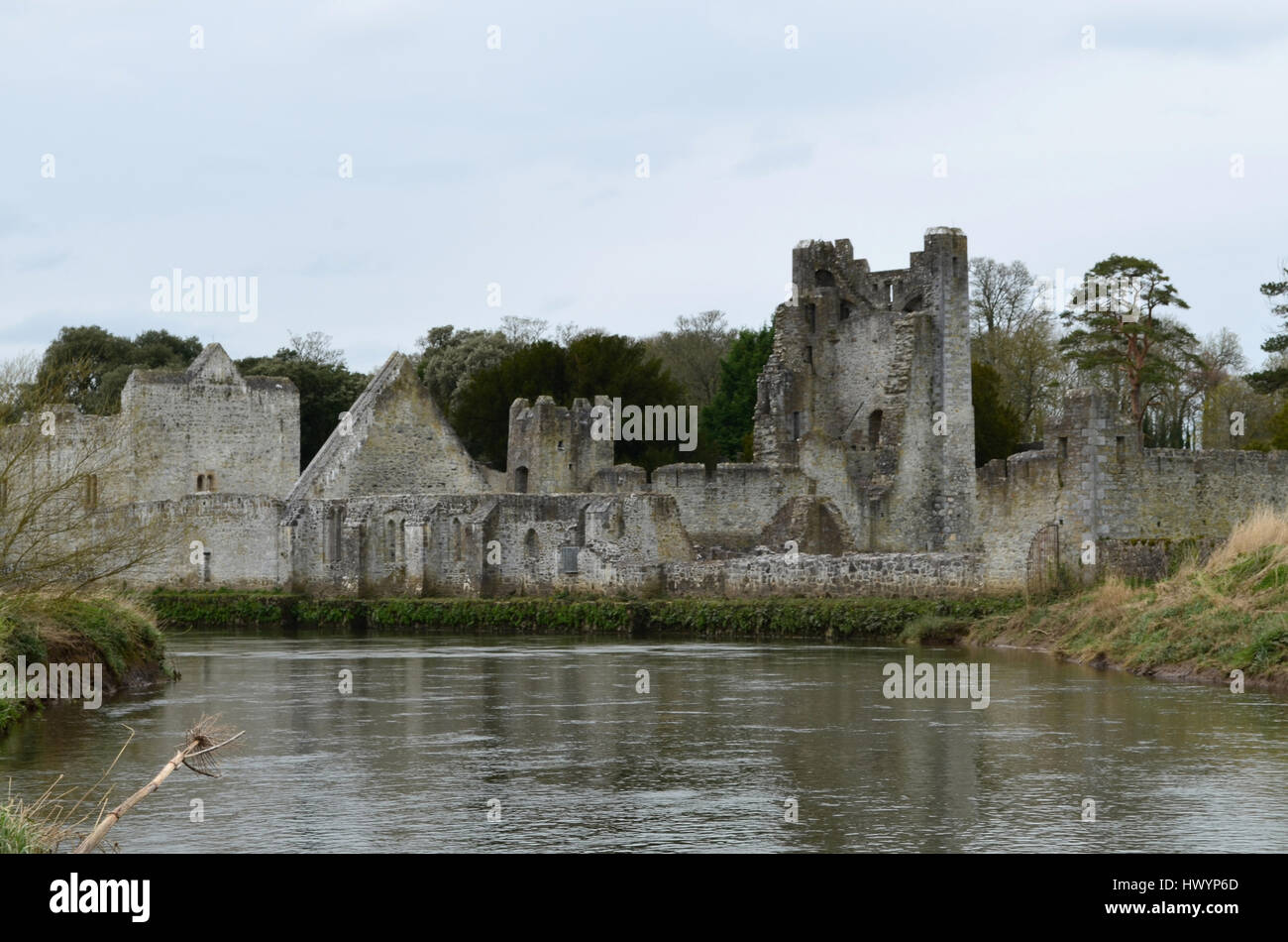 River Maigue and ruins of Desmond Castle in Ireland Stock Photo - Alamy