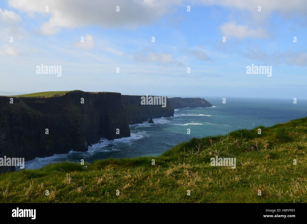 Thick green grass carpeting the top of the sea cliffs in County Clare ...