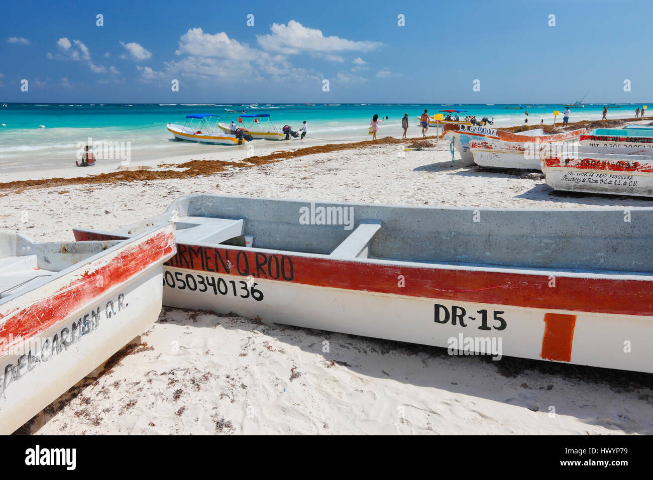 Mexico quintana roo tulum nature hi-res stock photography and images ...