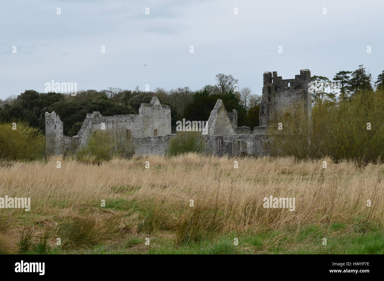 Hay field with the stone ruins of Desmond Castle in Ireland Stock Photo ...