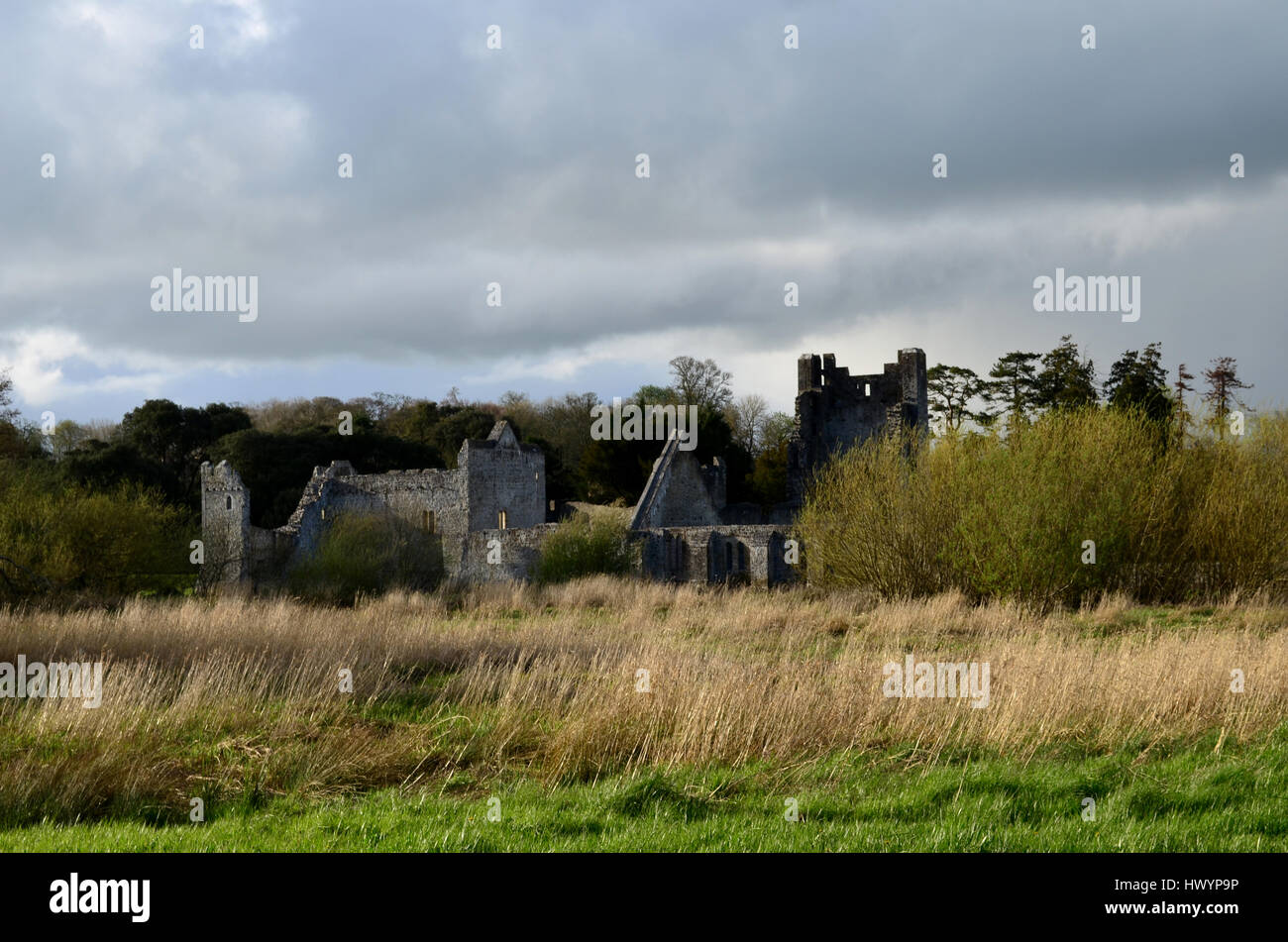 Clan hay hi-res stock photography and images - Alamy