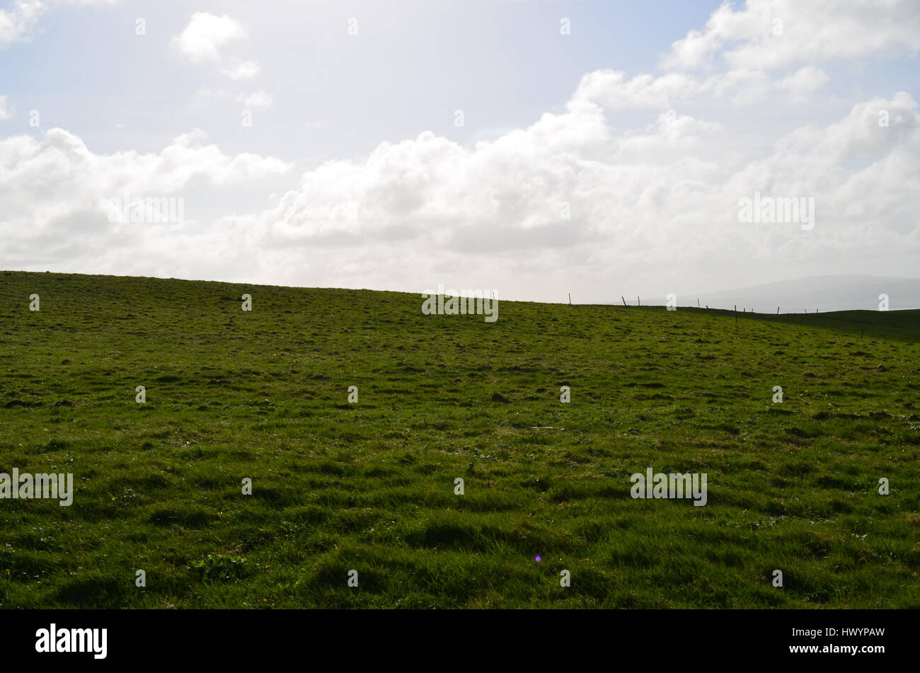 Lush green grassy field with white fluffy clouds in Ireland Stock Photo ...
