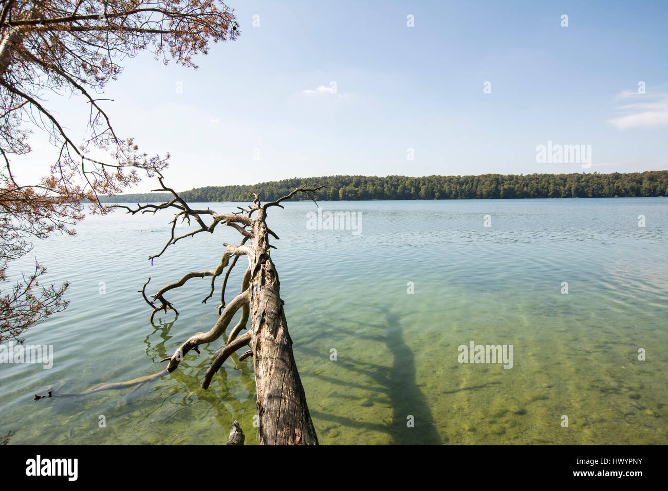 Germany, Brandenburg, Lake Stechlin Stock Photo - Alamy