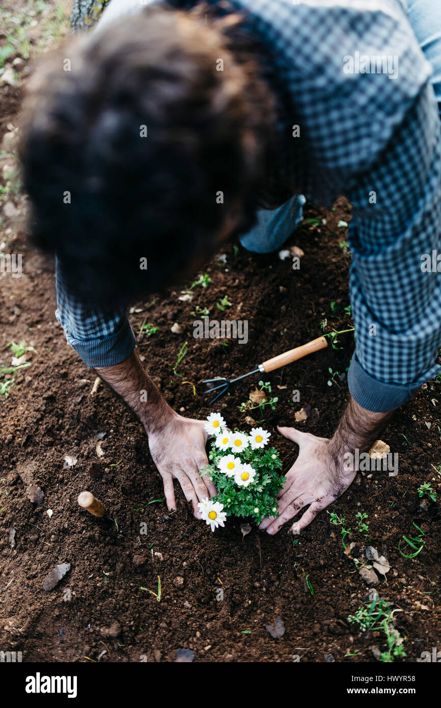 Man planting flowers in his garden Stock Photo - Alamy