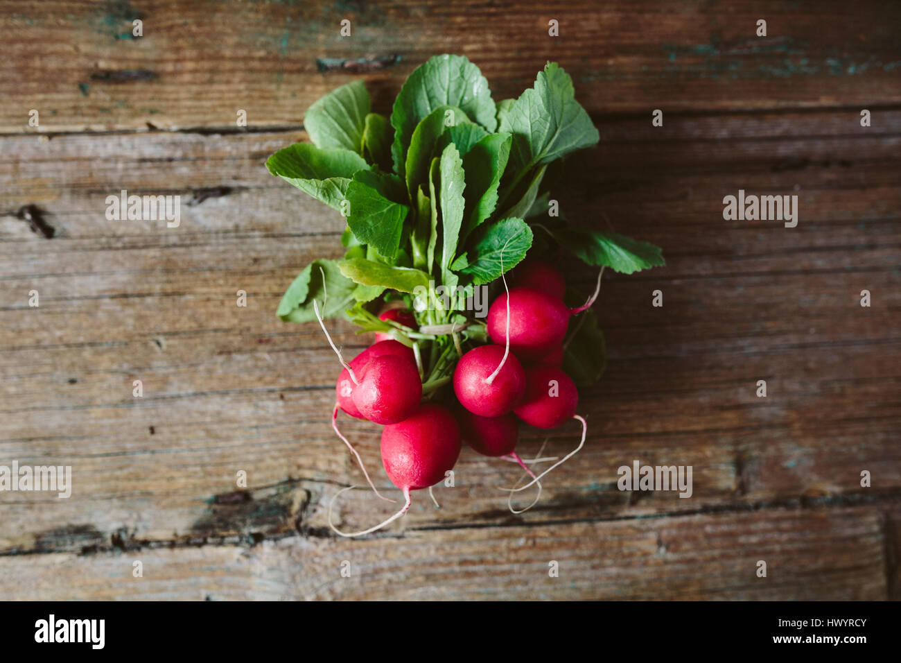 Bunch of red radishes on wood Stock Photo - Alamy