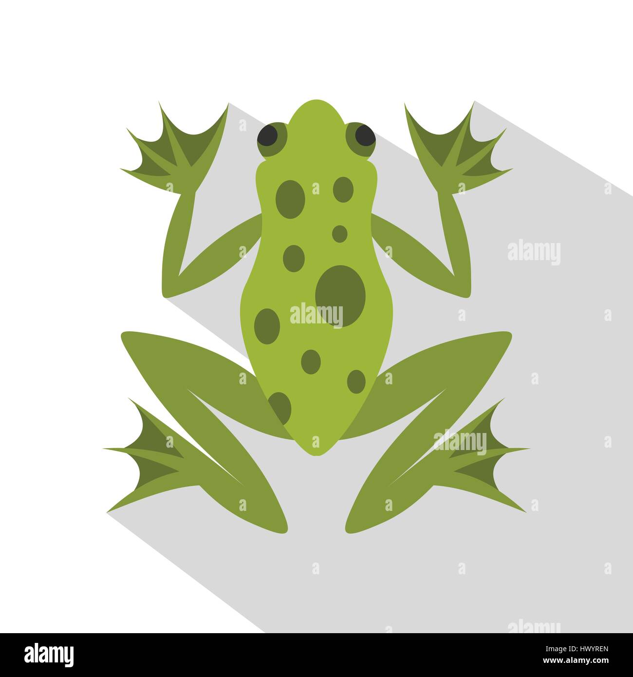 Frog icon, flat style Stock Vector Image & Art - Alamy