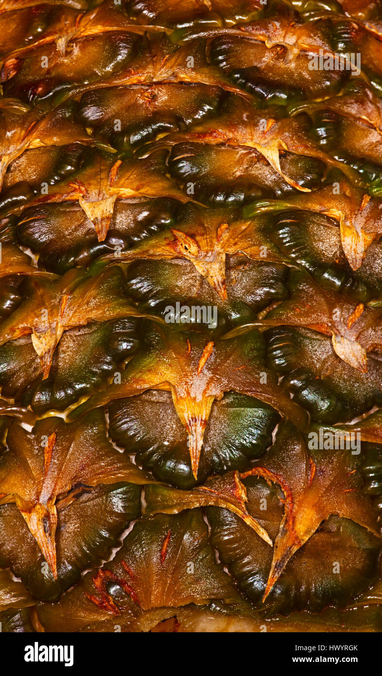 Texture of pineapple close-up in the long term Stock Photo - Alamy