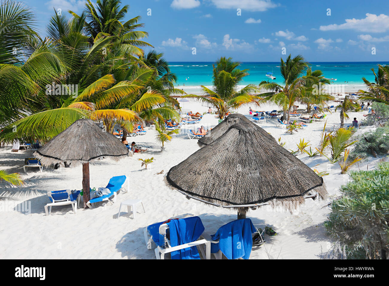 Tropical sand beach in Mexico Stock Photo - Alamy