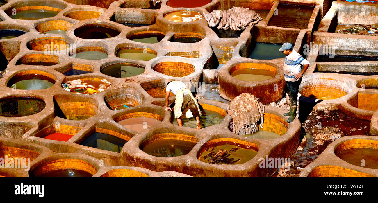 Fez tannery workers Stock Photo - Alamy