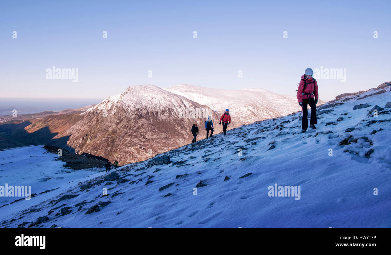 Cneifion rib hi-res stock photography and images - Alamy