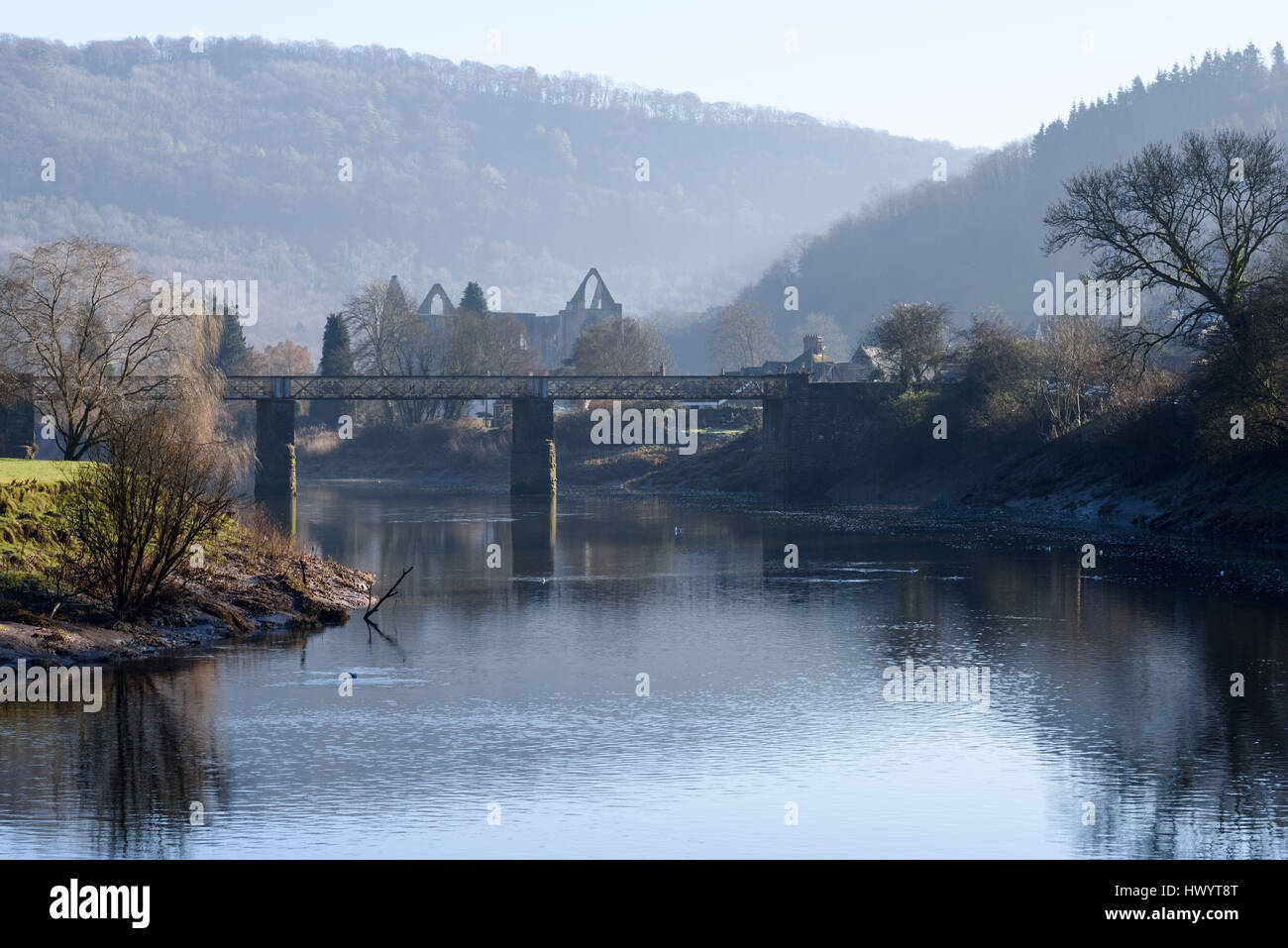Tintern Abbey and River Wye Stock Photo - Alamy