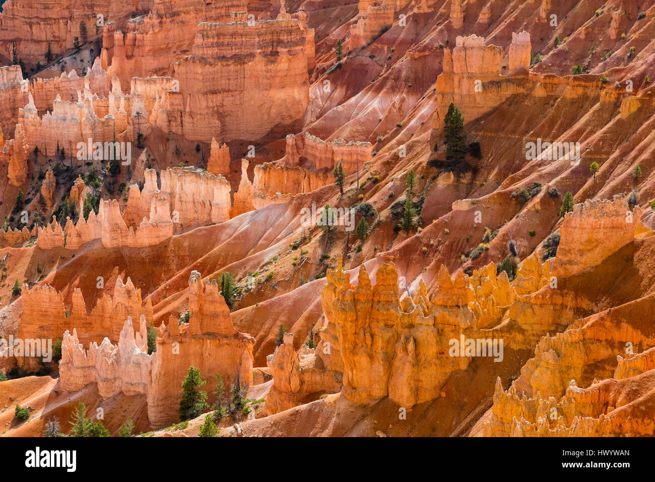 USA, Utah, Bryce Canyon National Park, hoodoos in amphitheater as seen ...