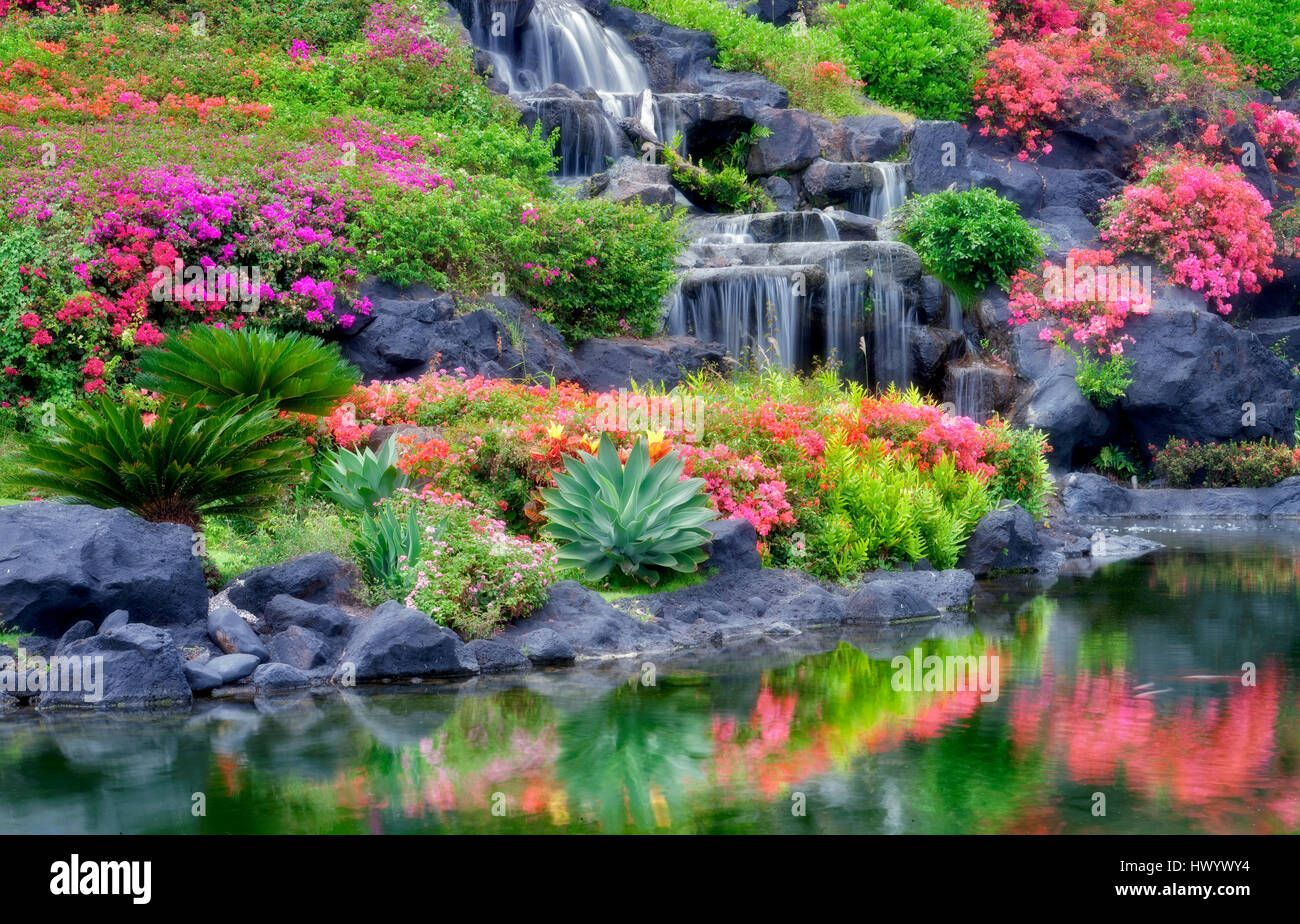 Botanical gardens and waterfall Stock Photo - Alamy