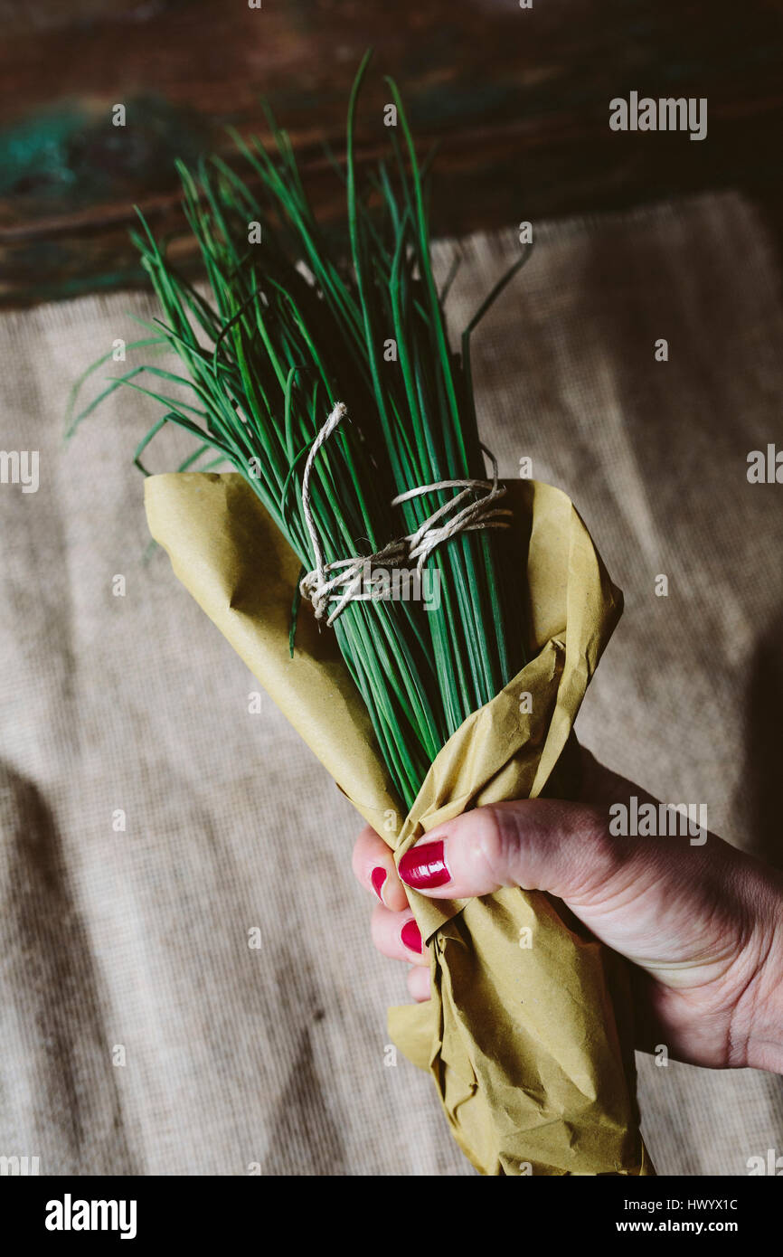 Woman's hand holding bunch of chives wrapped in paper Stock Photo - Alamy