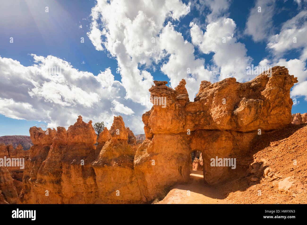 USA, Utah, Bryce Canyon National Park, hoodoos at Navajo Loop Trail ...