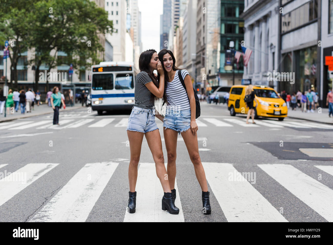 USA, New York City, two twin sisters talking on zebra crossing in ...