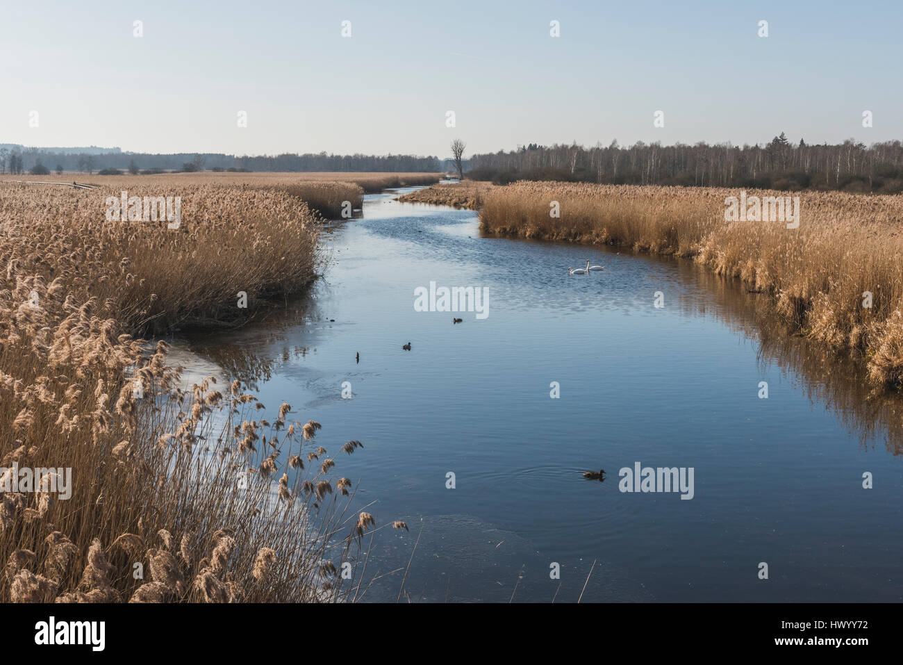 Germany, Bad Buchau, Lake Feder Stock Photo - Alamy