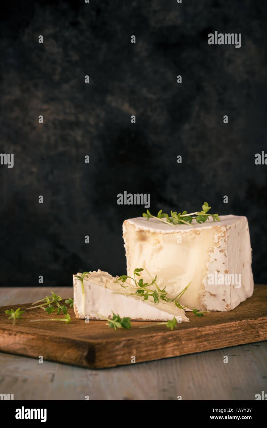 Vertical photo with unusual camembert. Cheese with cube shape with ...