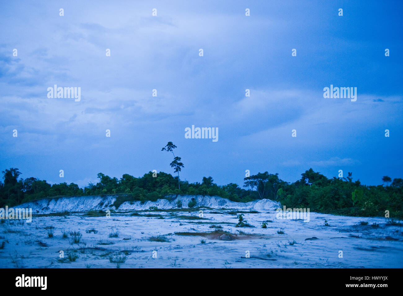 Rainforest & sand dunes in the Amazon Stock Photo - Alamy