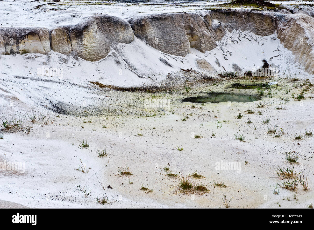 Rainforest & sand dunes in the Amazon Stock Photo - Alamy