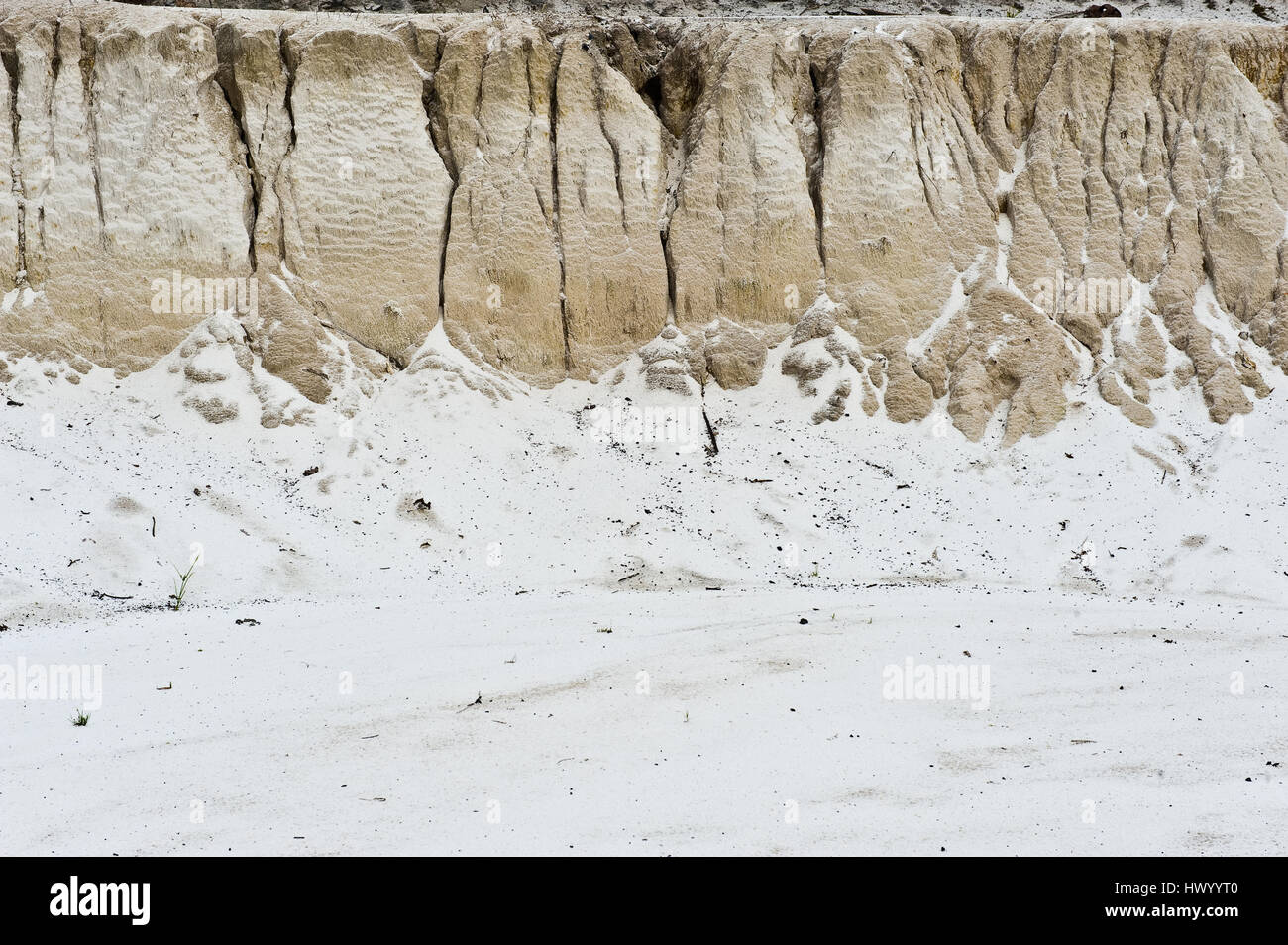 Rainforest & sand dunes in the Amazon Stock Photo - Alamy