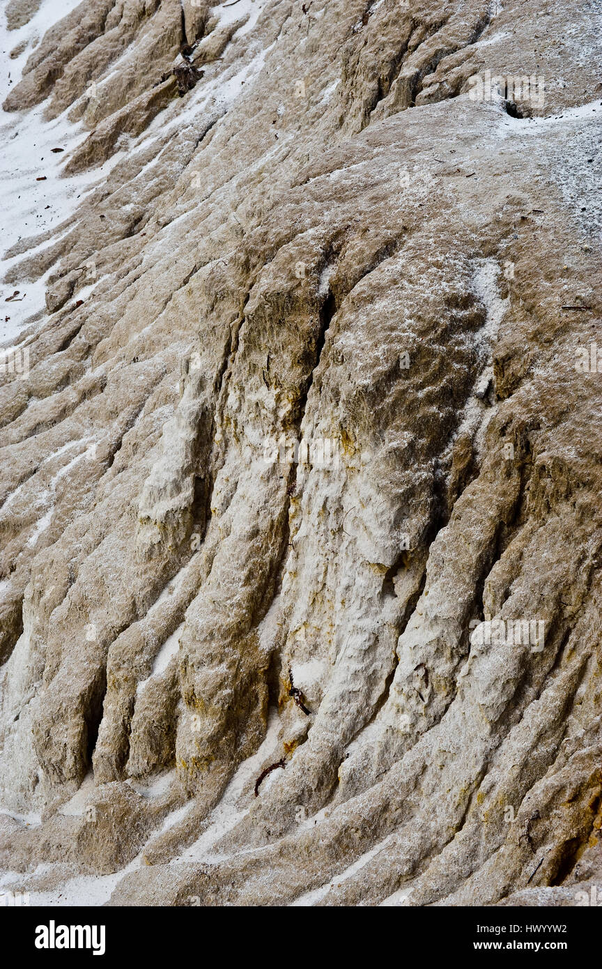 Rainforest & sand dunes in the Amazon Stock Photo - Alamy