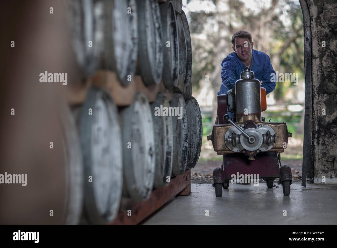 Worker in distillery pushing pump Stock Photo - Alamy
