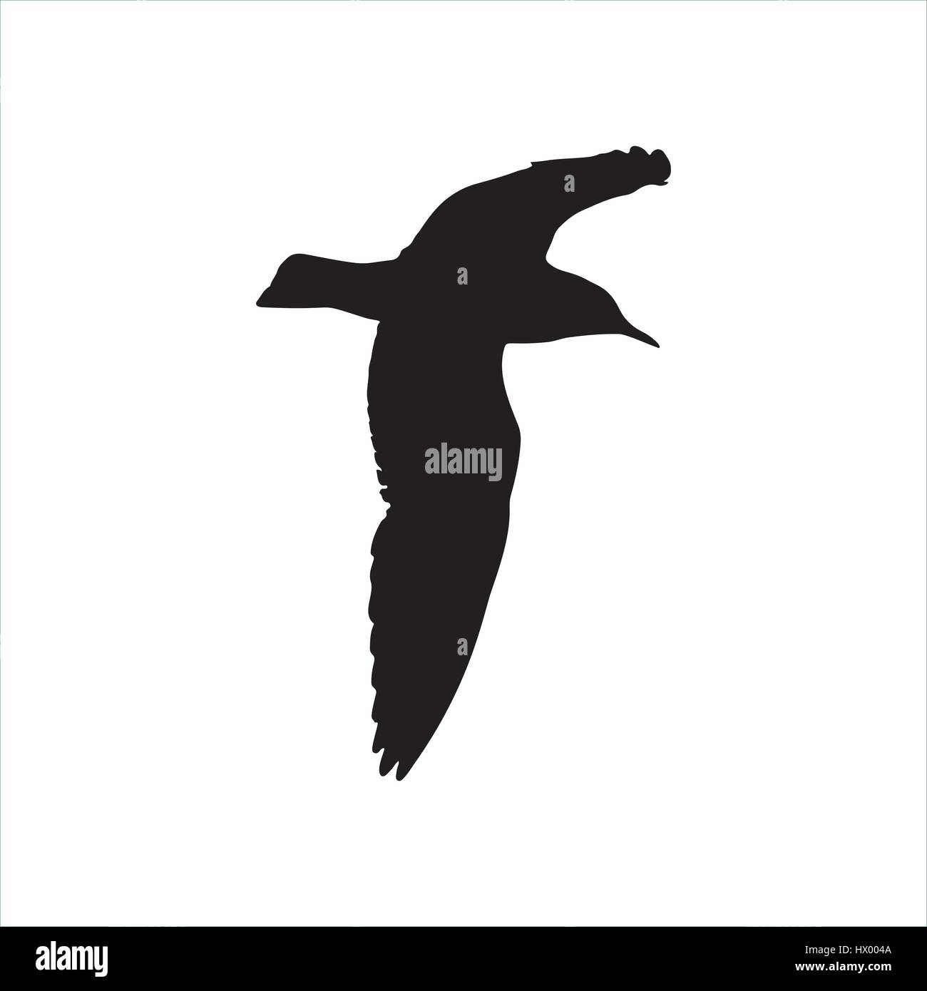 Flying Seagull Bird black silhouette isolated on white background Stock ...