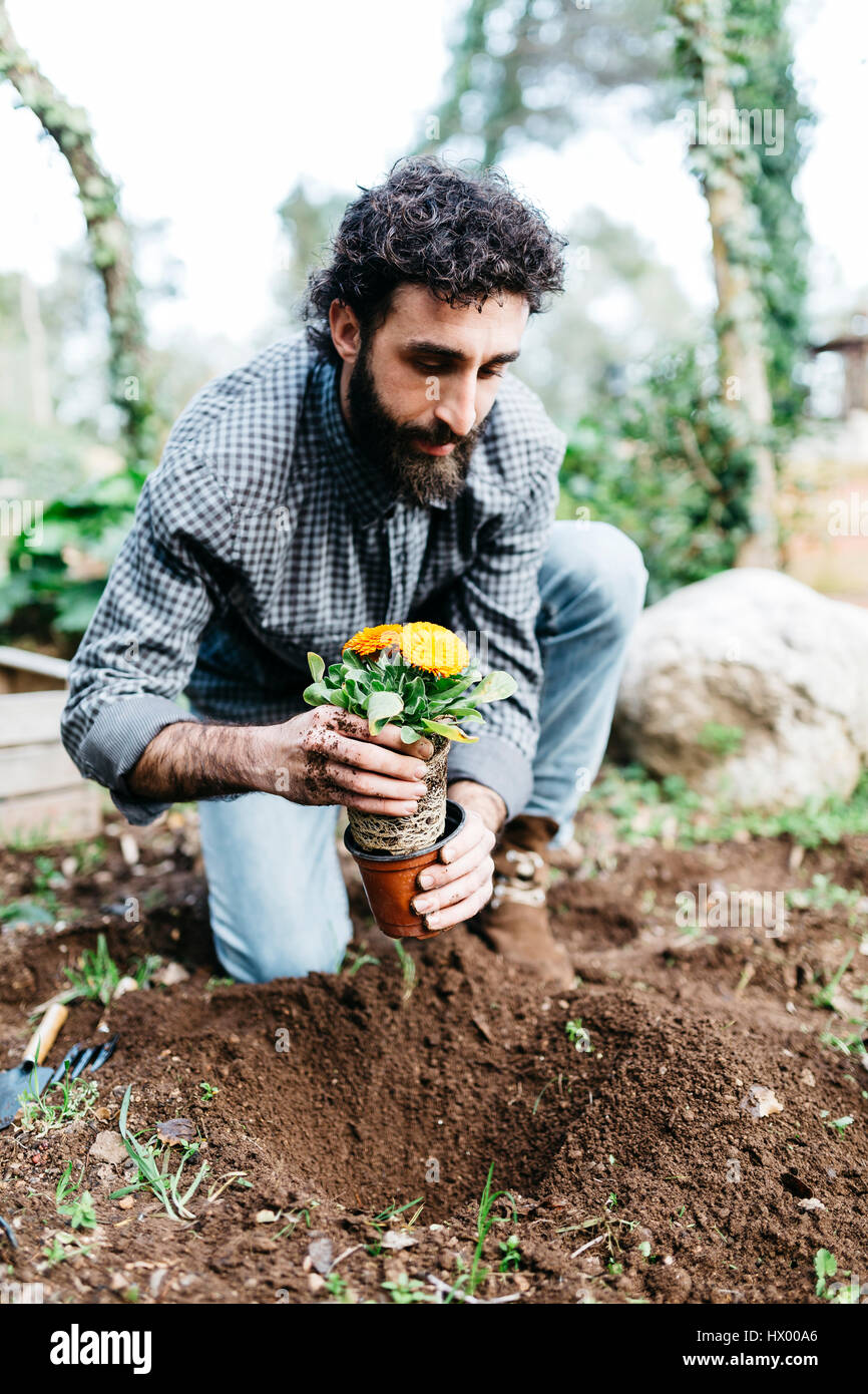 Man planting flowers in his garden Stock Photo - Alamy