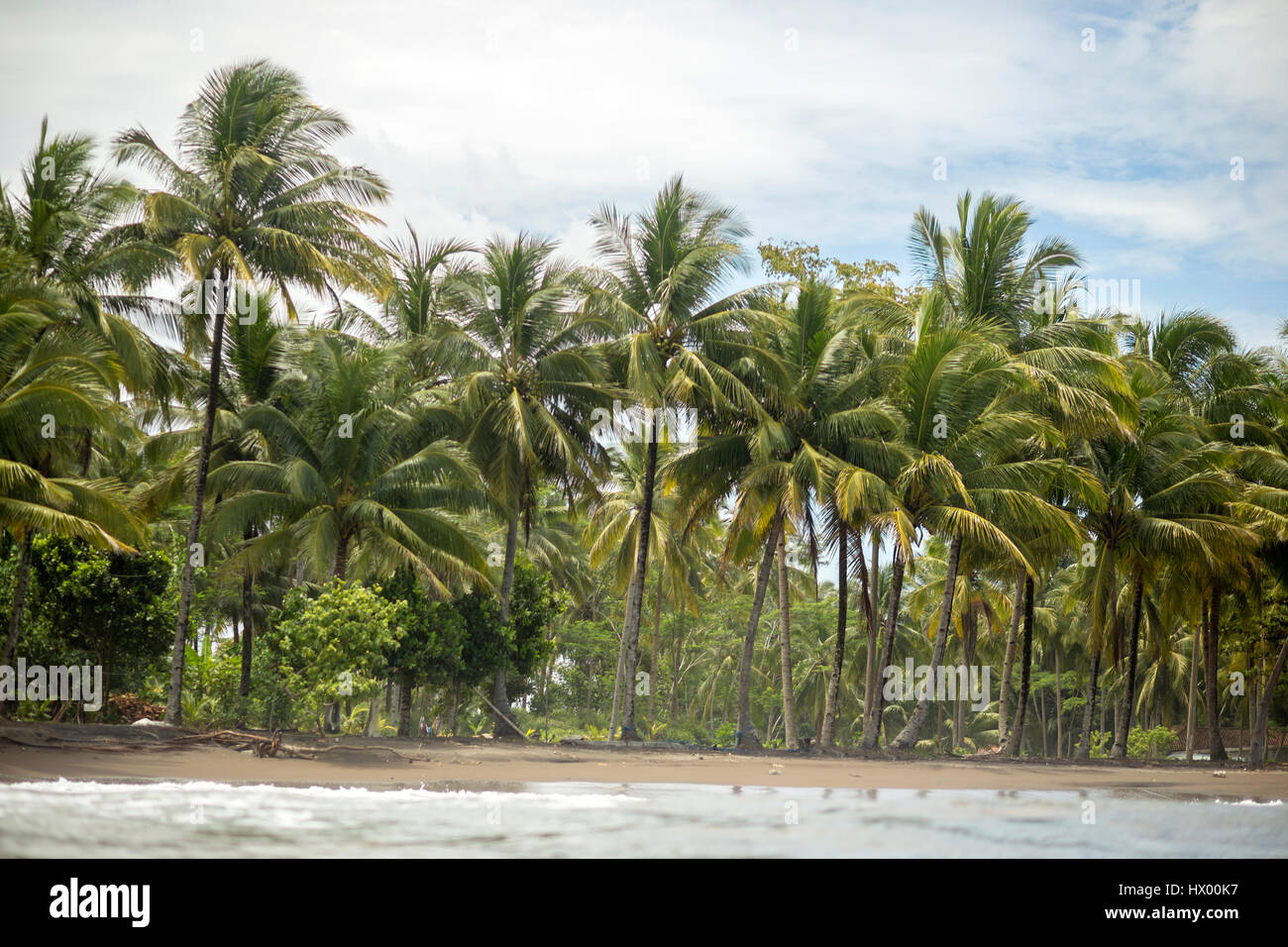 Indonesia, Java, coastline with palms seen from the ocean Stock Photo ...