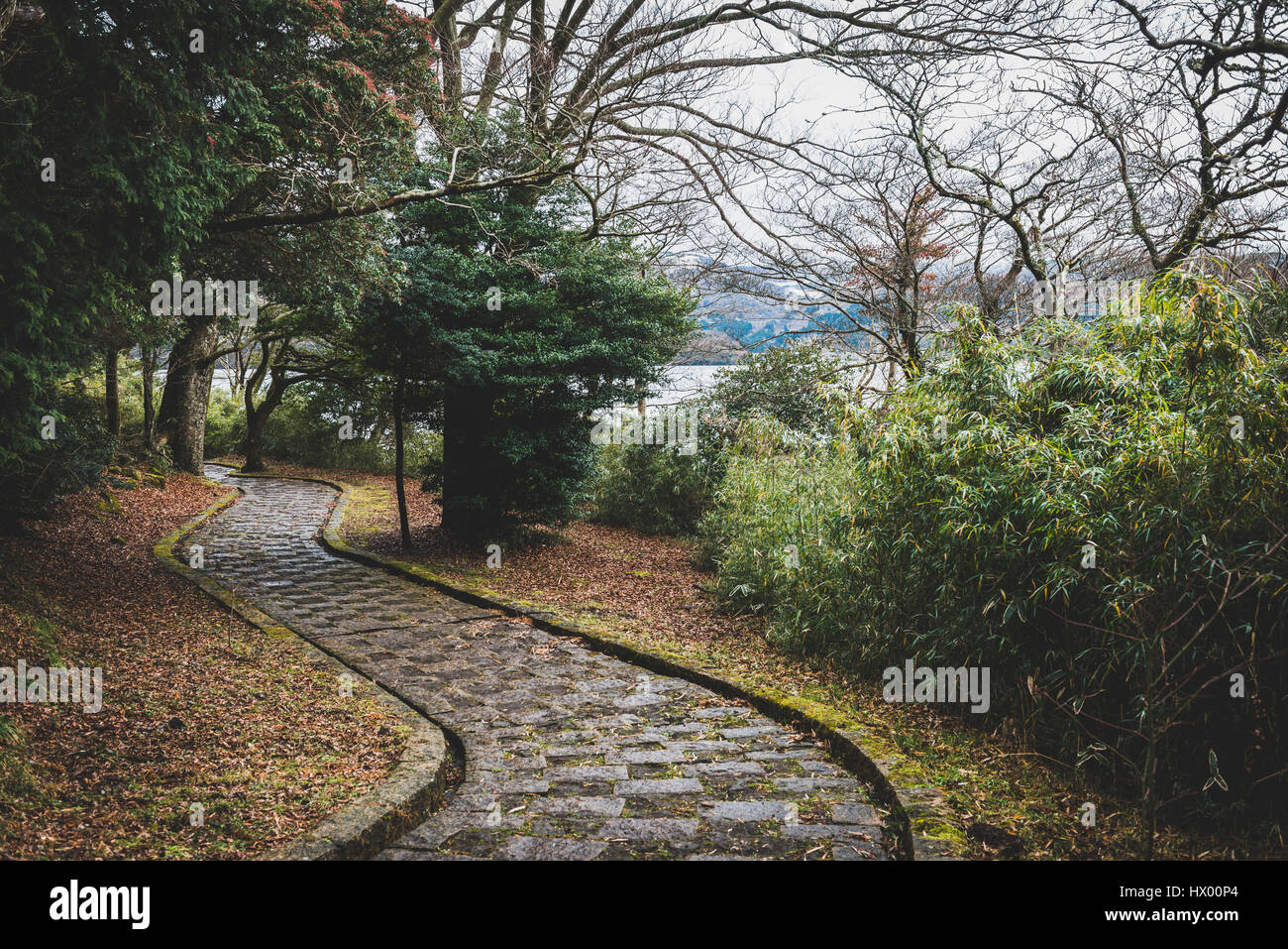 Japan, Hakone, Hiking path at Lake Ashi Stock Photo - Alamy