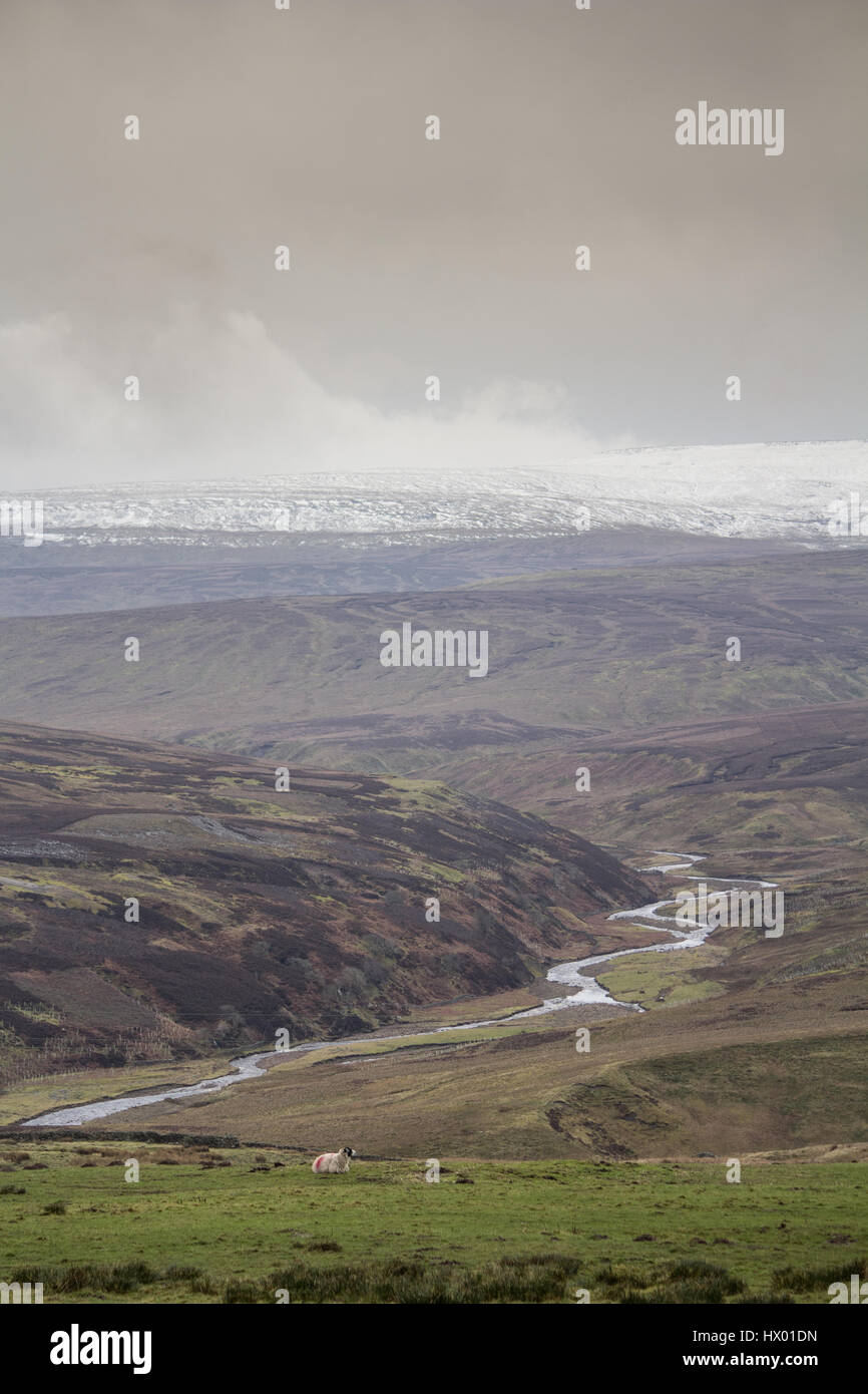 View from Hartside to Cross Fell Stock Photo - Alamy