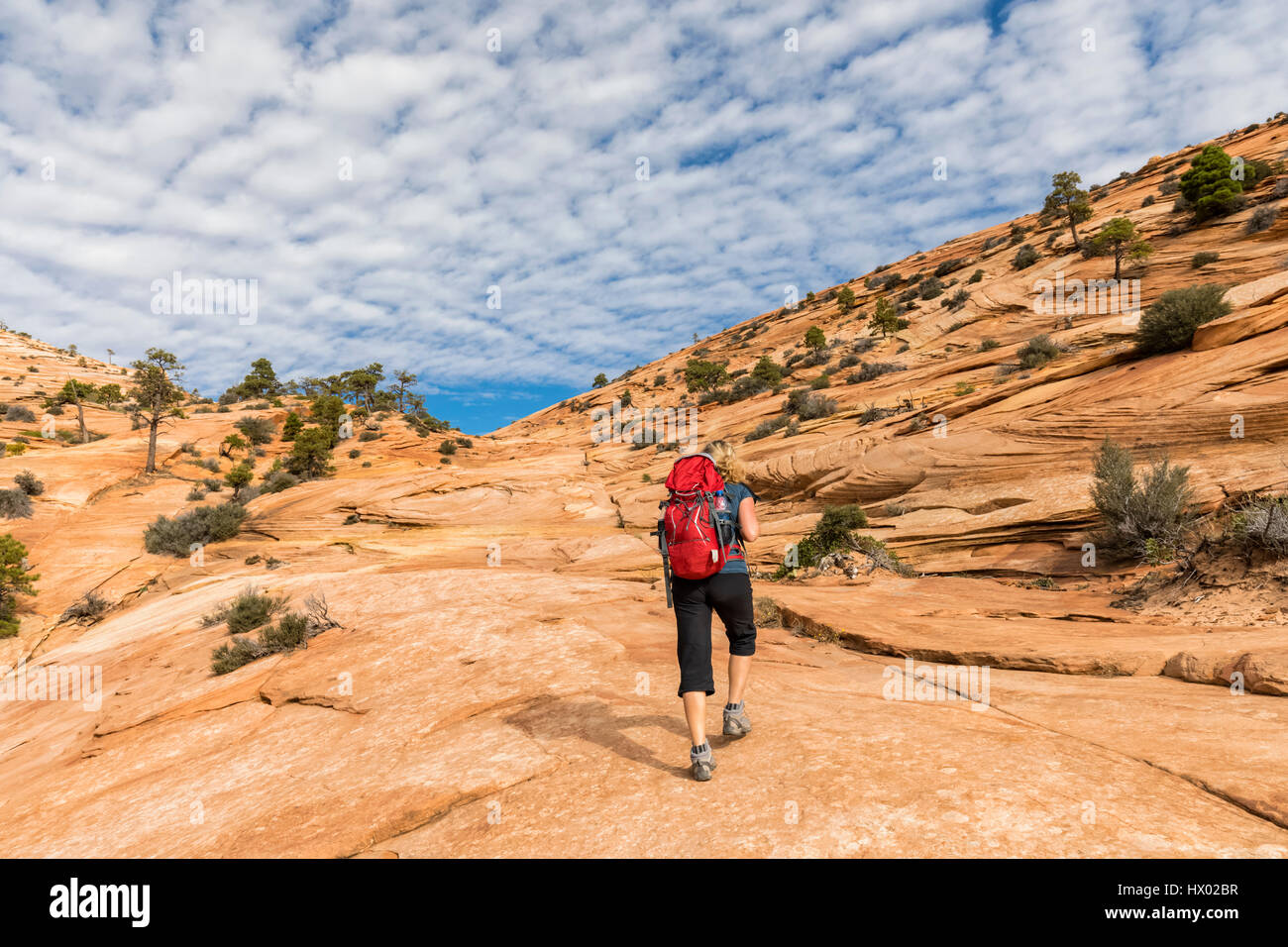 USA, Utah, Canaan Mountain, Hildale, hiking trip towards White Domes ...