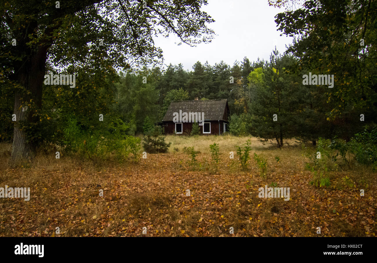 Lonely cottage in the forest Stock Photo - Alamy